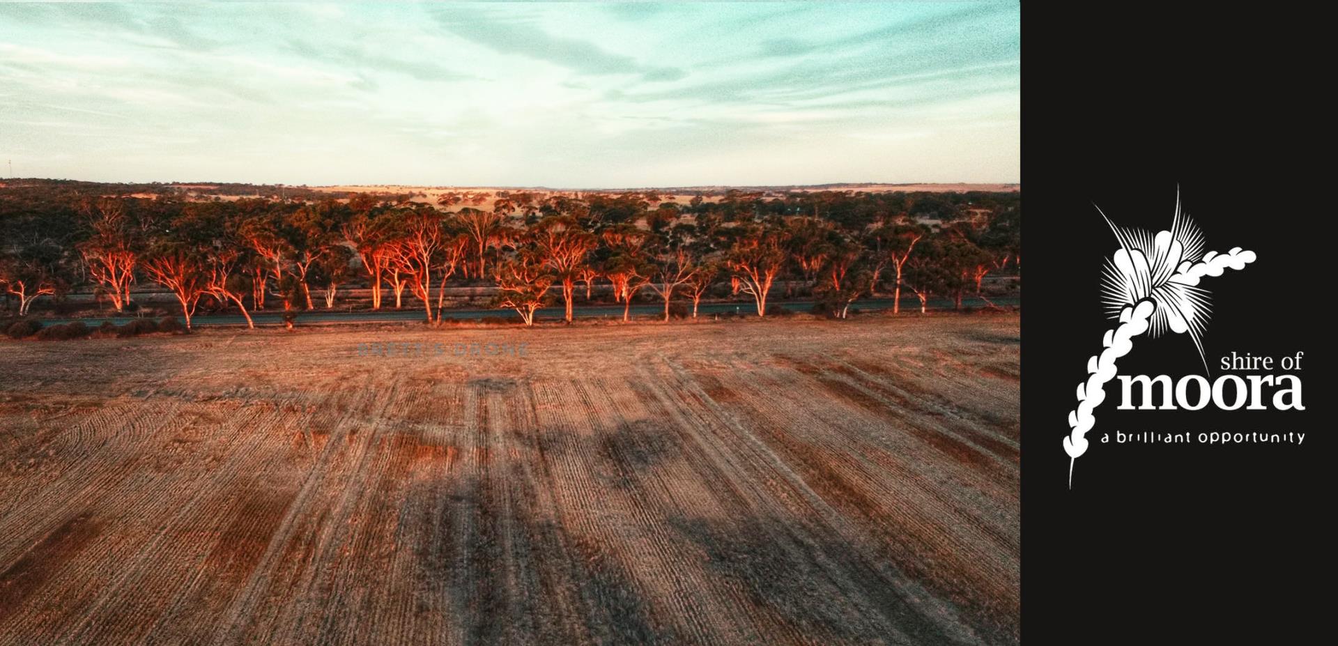 Home » Shire of Moora